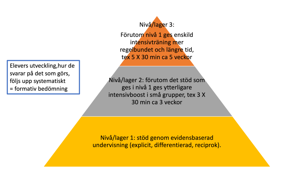 Snabbguide till differentierad undervisning | specialpedagogen